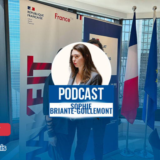 Jean-Luc Ruelle : « France - Afrique : entre diplomatie et évolution ...